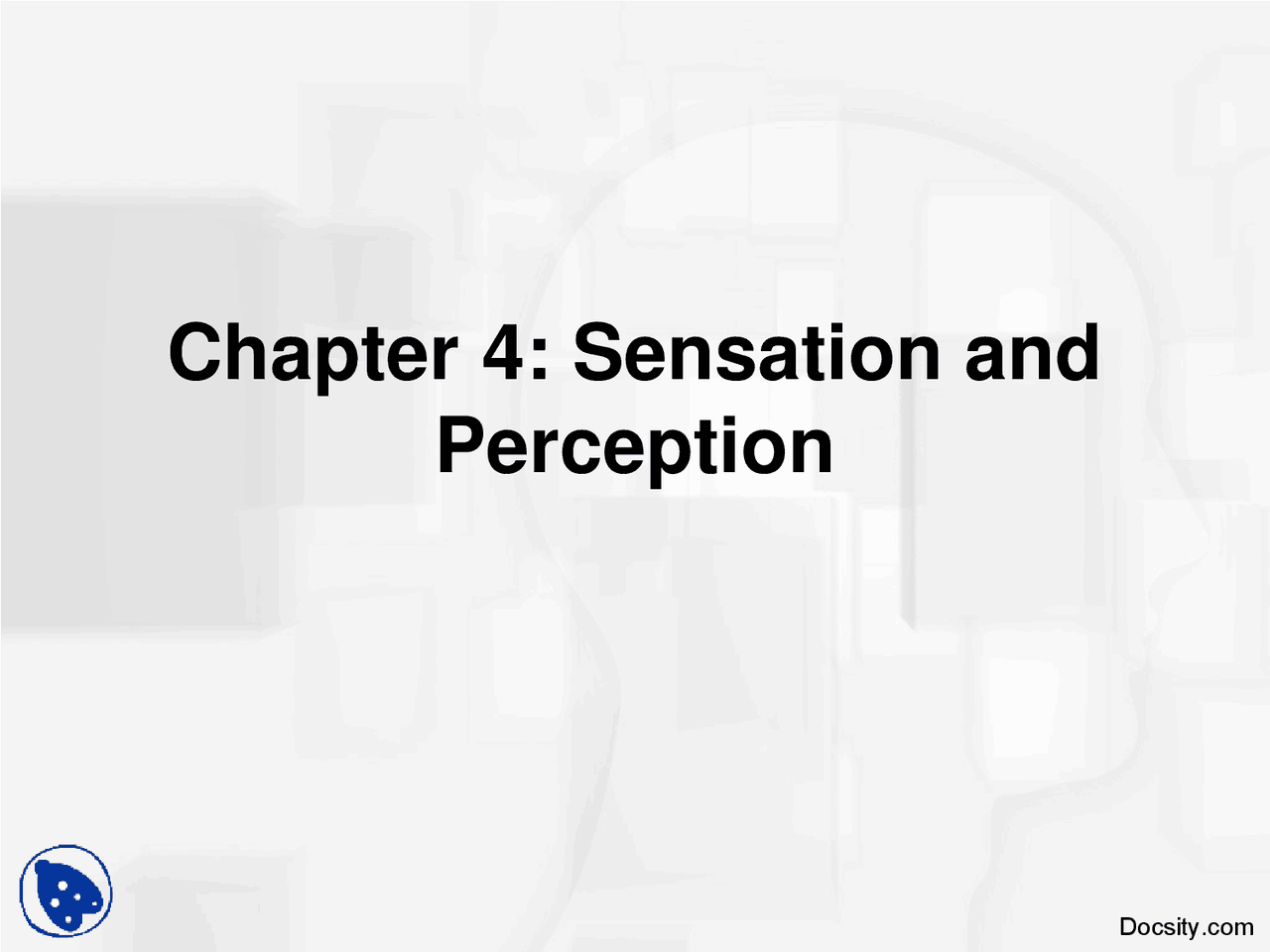 Sensation And Perception Research Methods Lecture Slides Docsity