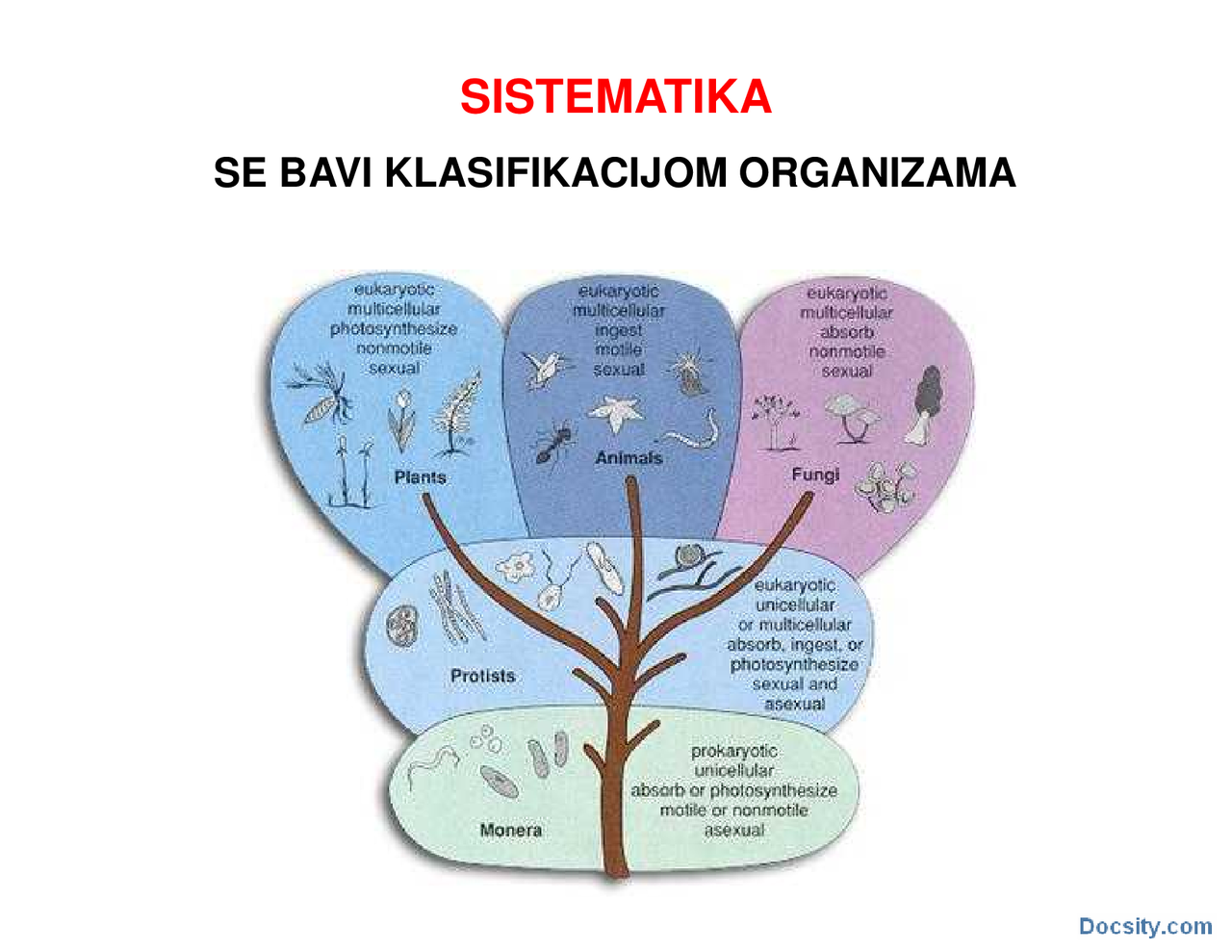 Sistemi Klasifikacije Slajdovi Botanika Farmacija Slajdovi Predlog