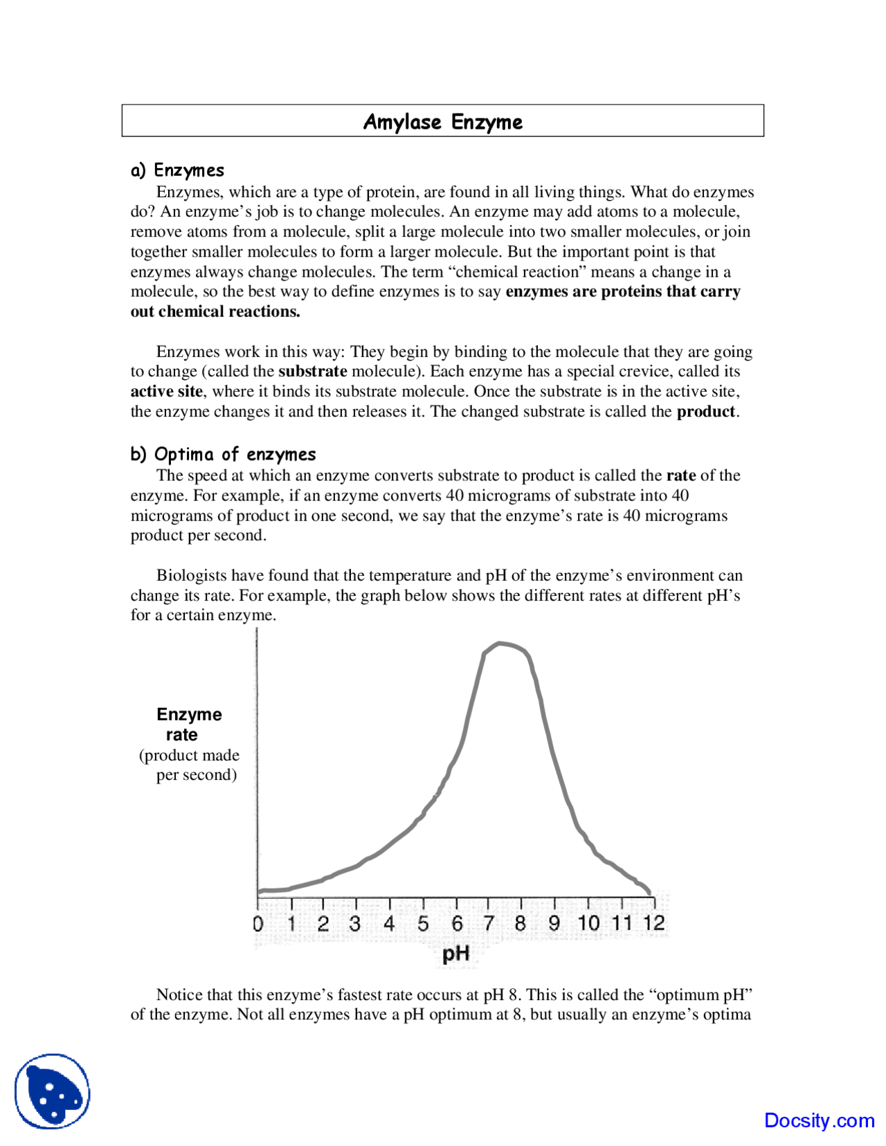 Amylase Enzyme - Fundamental Biological Concepts - Lab Manuals | Study ...