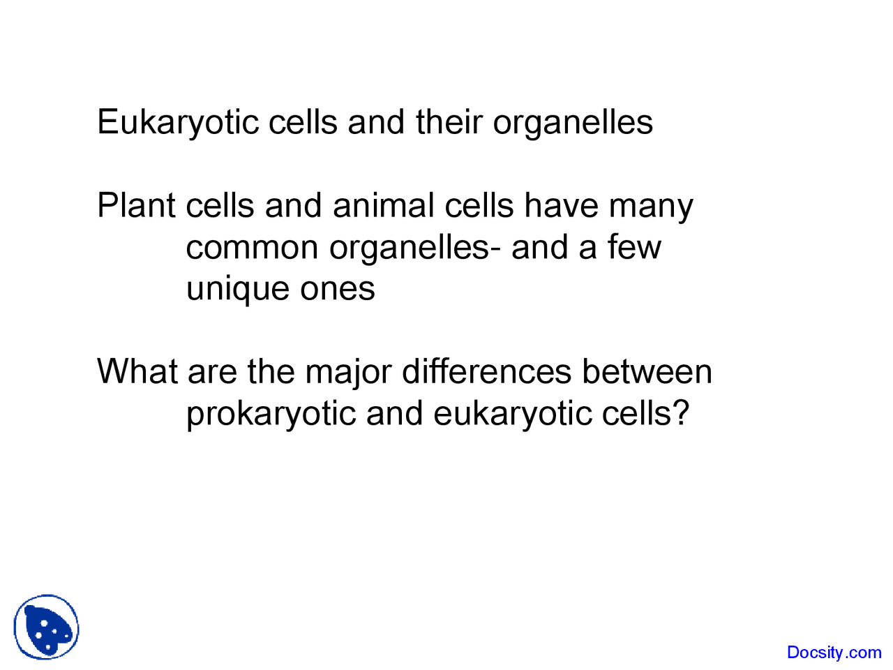 Eukaryotic Cells And Their Organelles Fundamental Biological Concepts