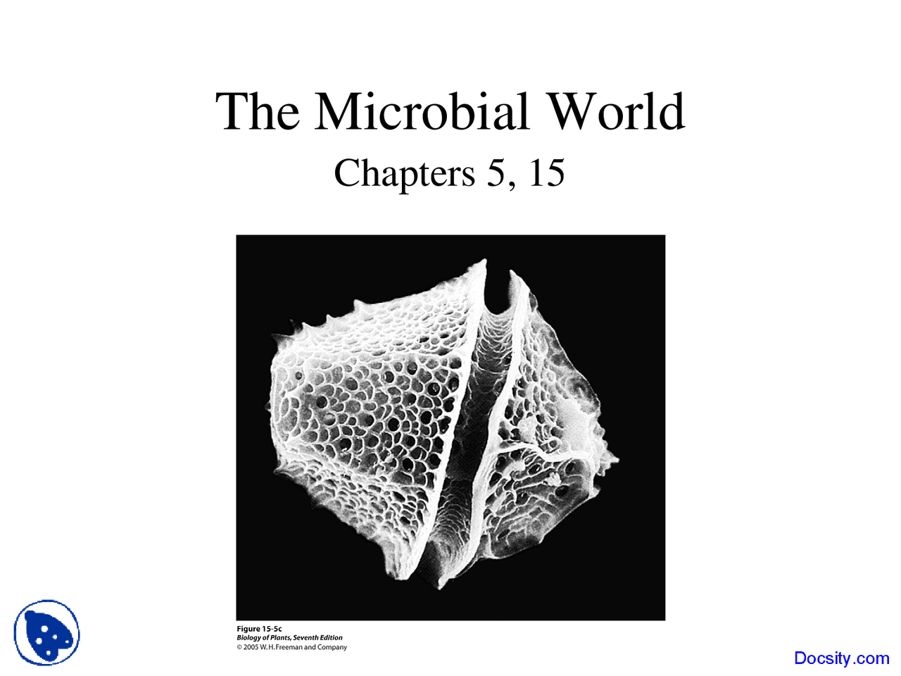 Microbial World - Marine Biology - Lecture Slides - Docsity