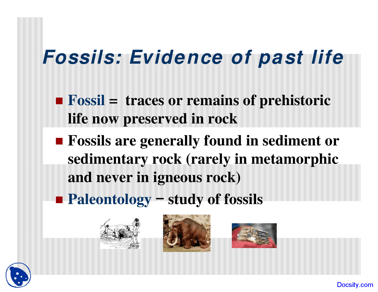 Fossils Dynamic Earth Lecture Slides Docsity