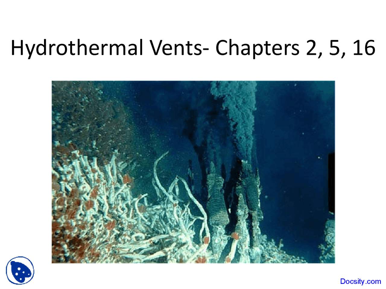Hydrothermal Vents - Marine Biology - Lecture Slides | Slides Biology ...