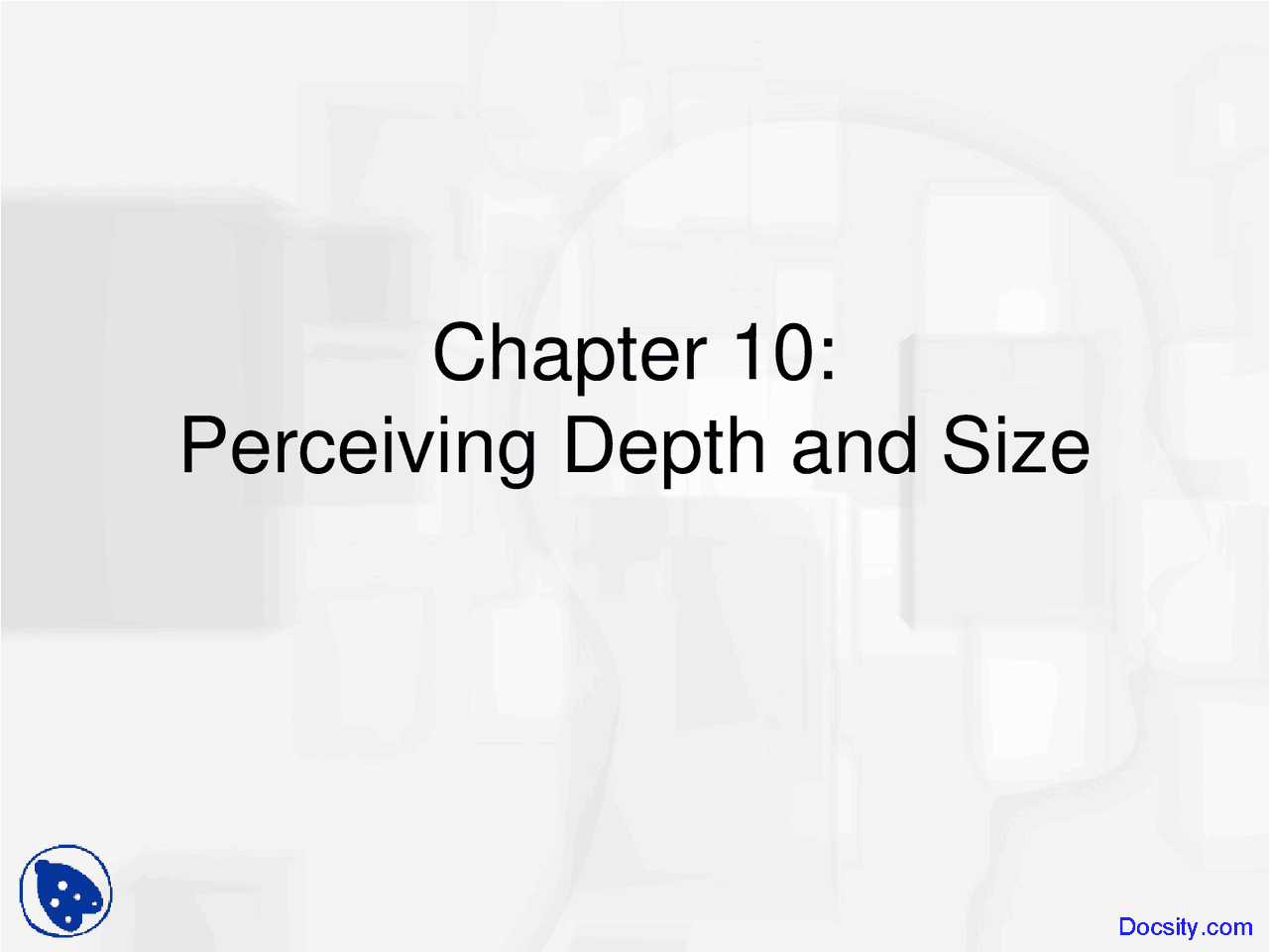 Perceiving Depth and Size - Cognitive Psychology - Lecture Slides - Docsity