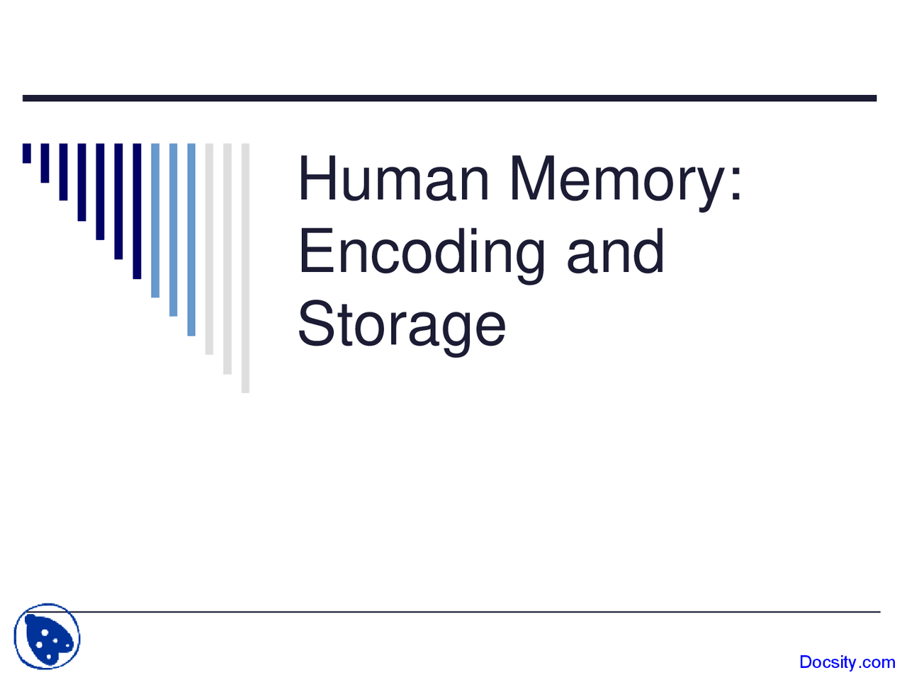 Human Memory Encoding And Storage Cognitive Processes Lecture