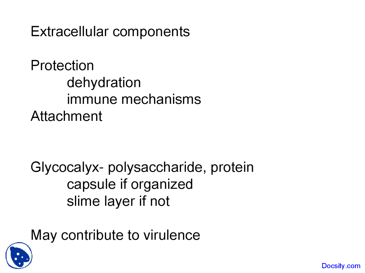 Extracellular Components Principles Of Microbiology Lecture Slides
