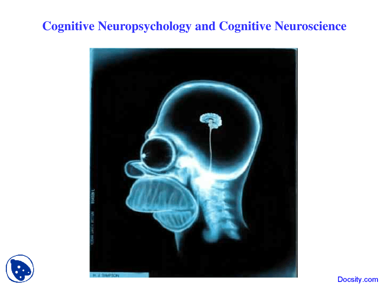 Cognitive Neuropsychology Cognitive Psychology Lecture Slides Docsity