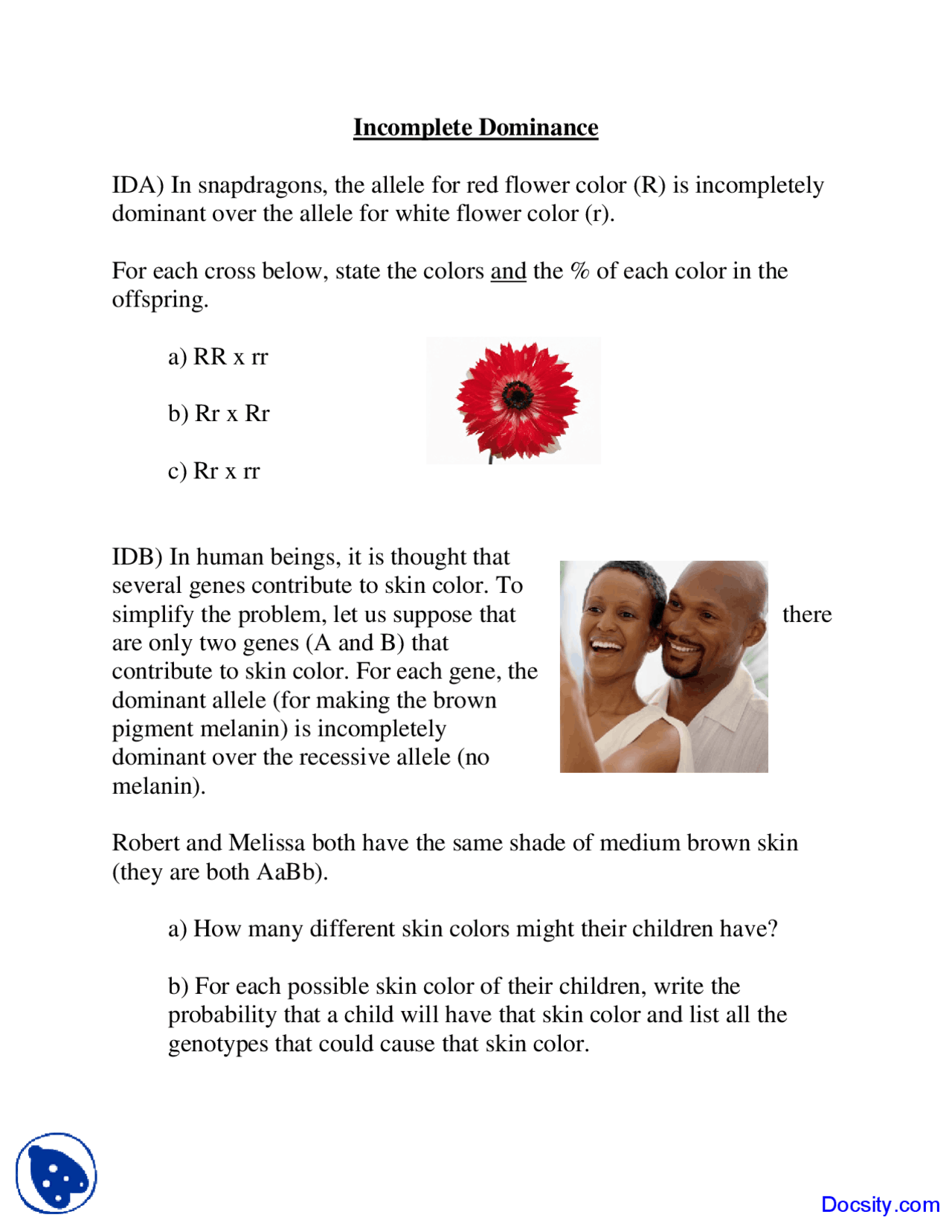 Incomplete Dominance Fundamental Biological Concepts Quiz Docsity