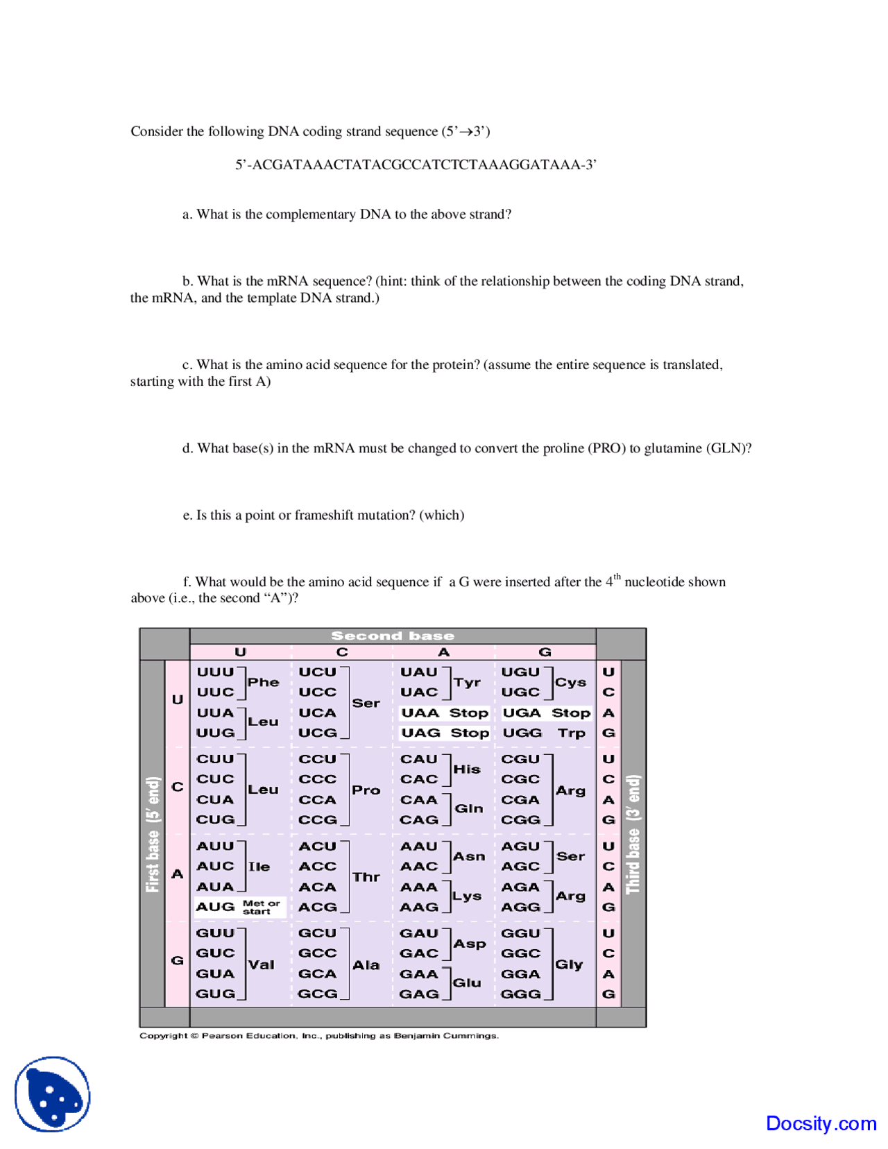 Dna Rna Sequence Fundamental Biological Concepts Quiz Docsity