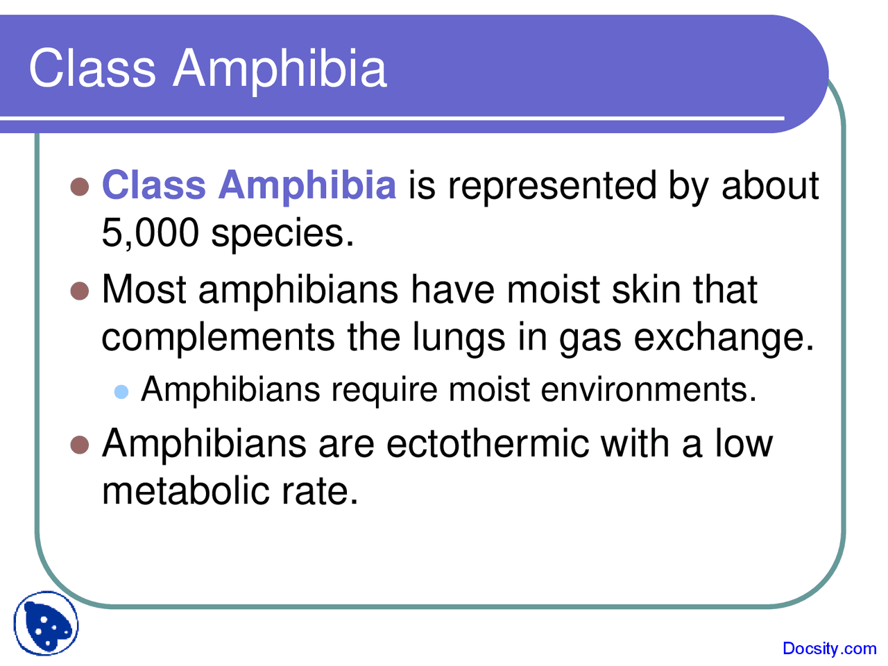 Class Amphibia - General Zoology - Lecture Slides | Slides Zoology ...