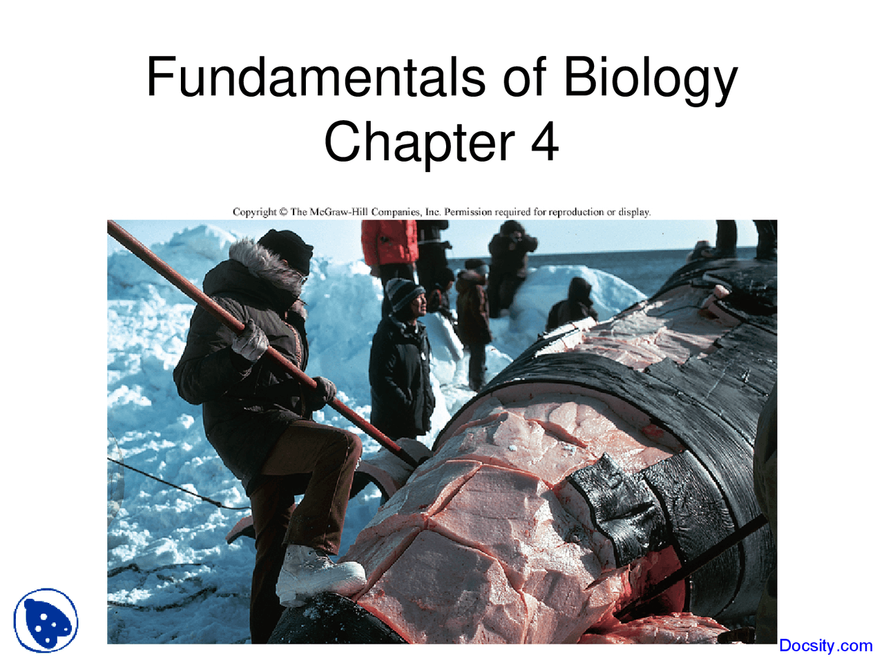 Levels Of Organization Marine Biology Lecture Slides Slides