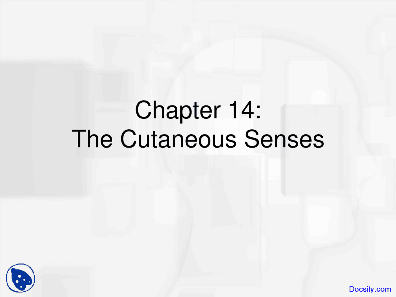 Cutaneous Senses Cognitive Psychology Lecture Slides Docsity