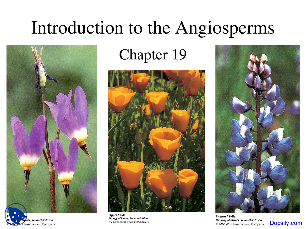 7th Edition Biology Of Plants