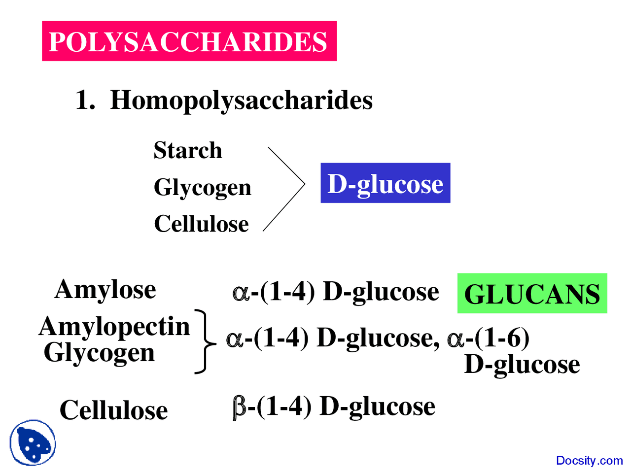 Polysaccharides Biochemistry Lecture Slides Docsity