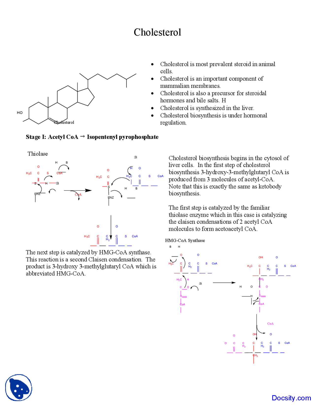Cholesterol - Biochemistry - Lecture Notes | Study notes Biochemistry ...