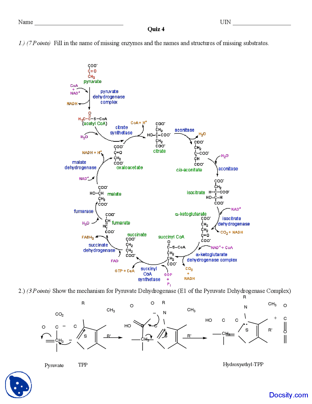 Show the mechanism for Pyruvate Dehydrogenase - Biochemistry - Exam ...