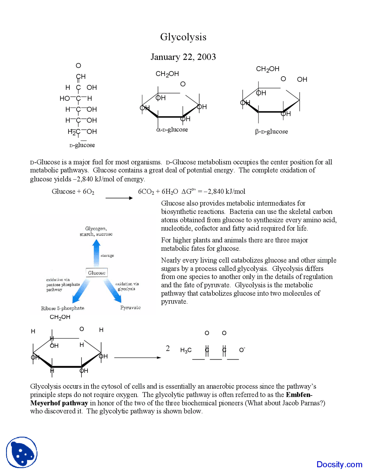 Glycolysis Biochemistry Lecture Notes Docsity