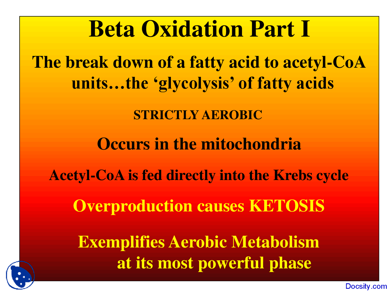 Beta Oxidation Biochemistry Lecture Slides Docsity