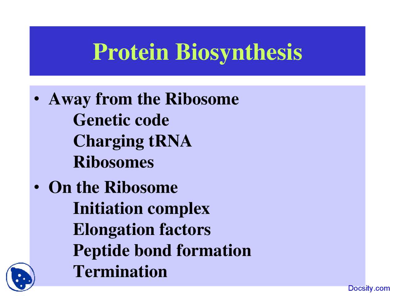 Protein Biosynthesis Biochemistry Lecture Slides Docsity