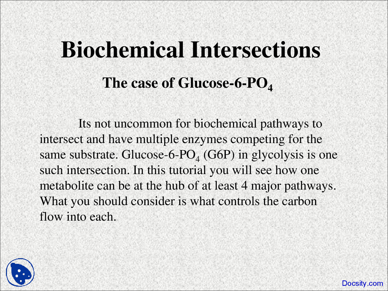 Biochemical Intersections Biochemistry Lecture Slides Docsity