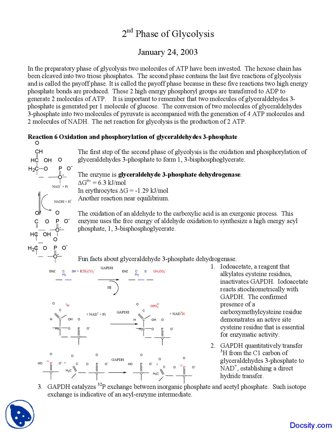 2nd Phase Of Glycolysis Biochemistry Lecture Notes Docsity
