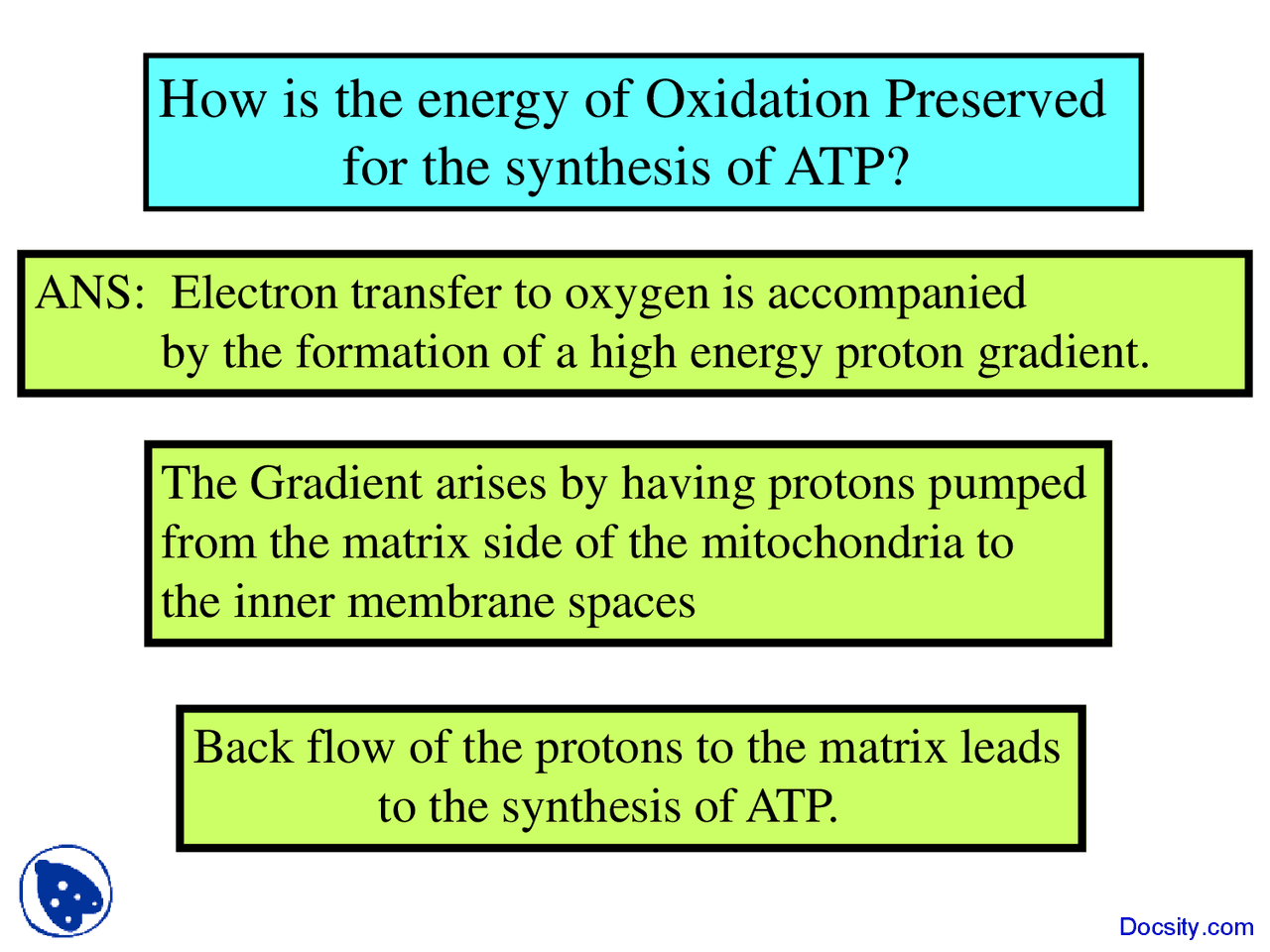 Oxidation Preserved Biochemistry Lecture Slides Slides