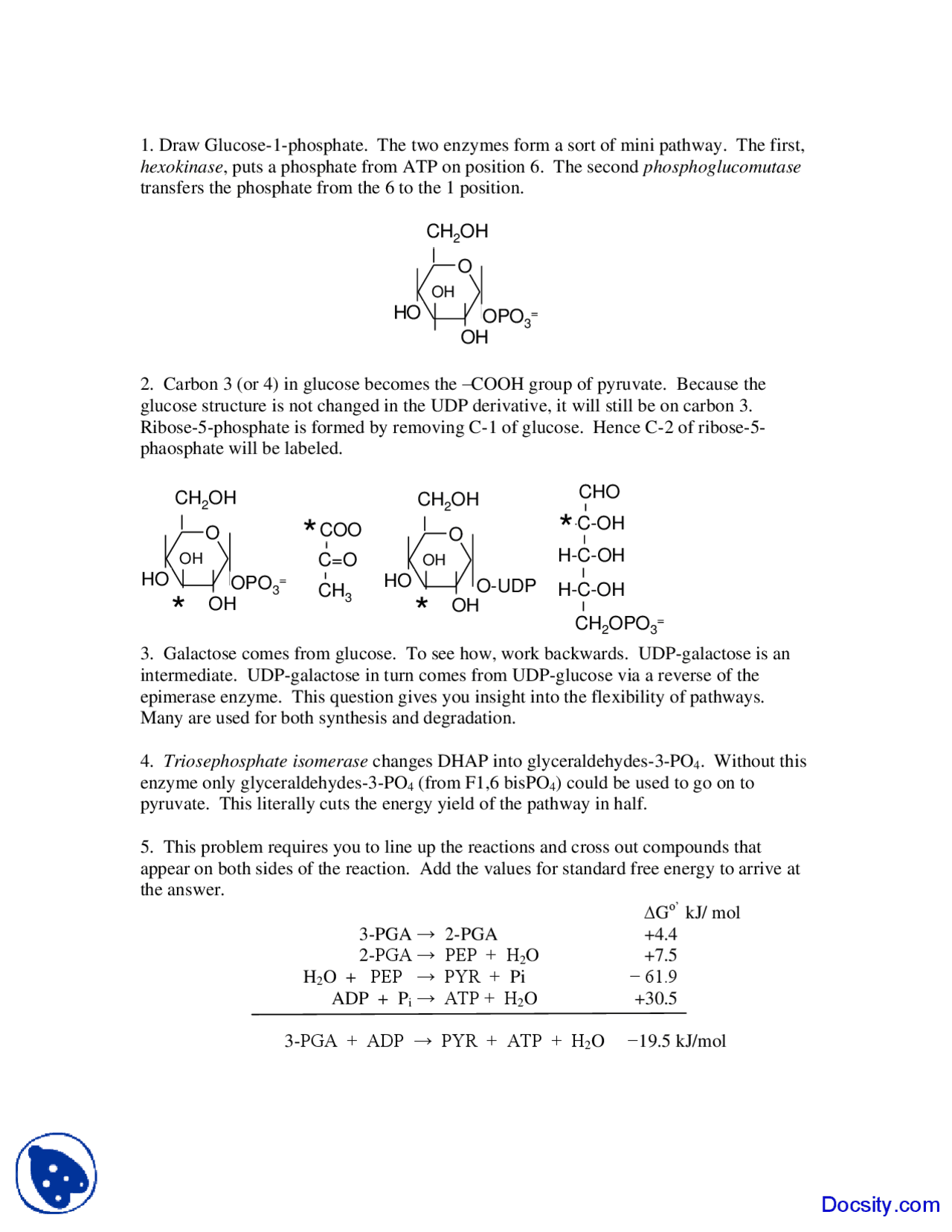 Galactose Comes From Glucose Biochemistry Solved Quiz Docsity