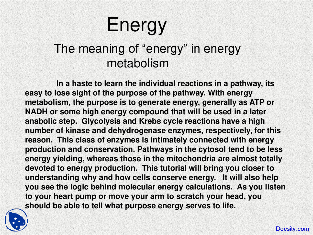 Energy Biochemistry Lecture Slides Docsity