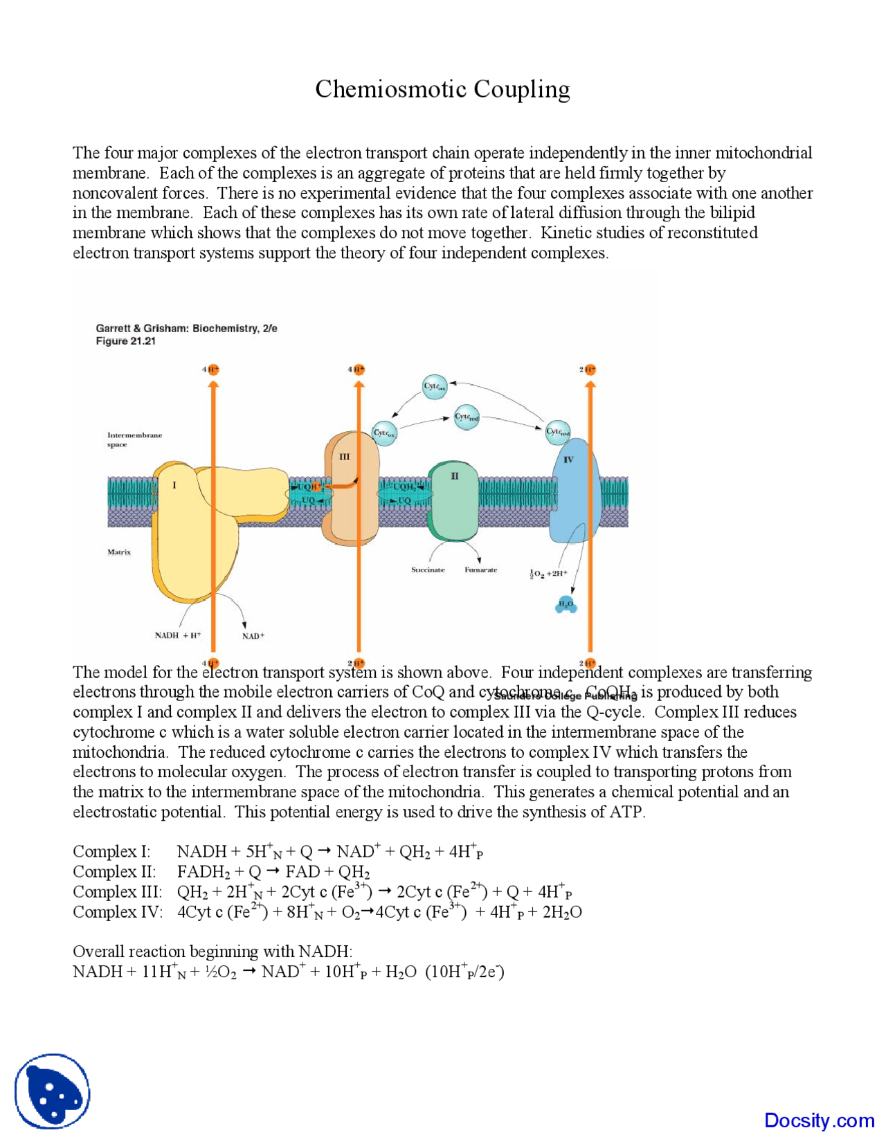 Chemiosmotic Coupling Biochemistry Lecture Notes Docsity