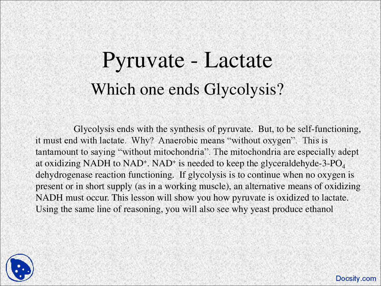 Pyruvate Lactate - Biochemistry - Lecture Slides | Slides Biochemistry ...