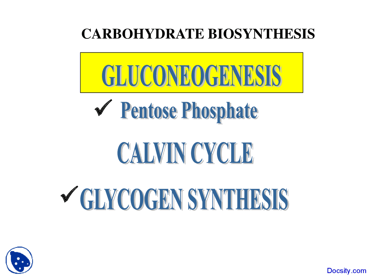 Carbohydrate Biosynthesis Biochemistry Lecture Slides Docsity
