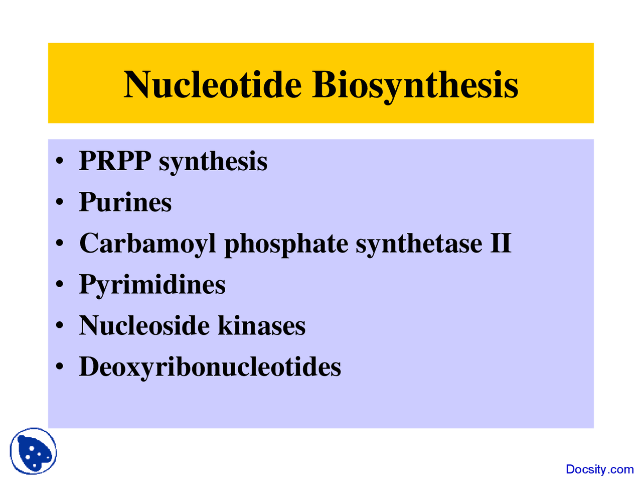 Nucleotide Biosynthesis - Biochemistry - Lecture Slides | Slides Biochemistry | Docsity