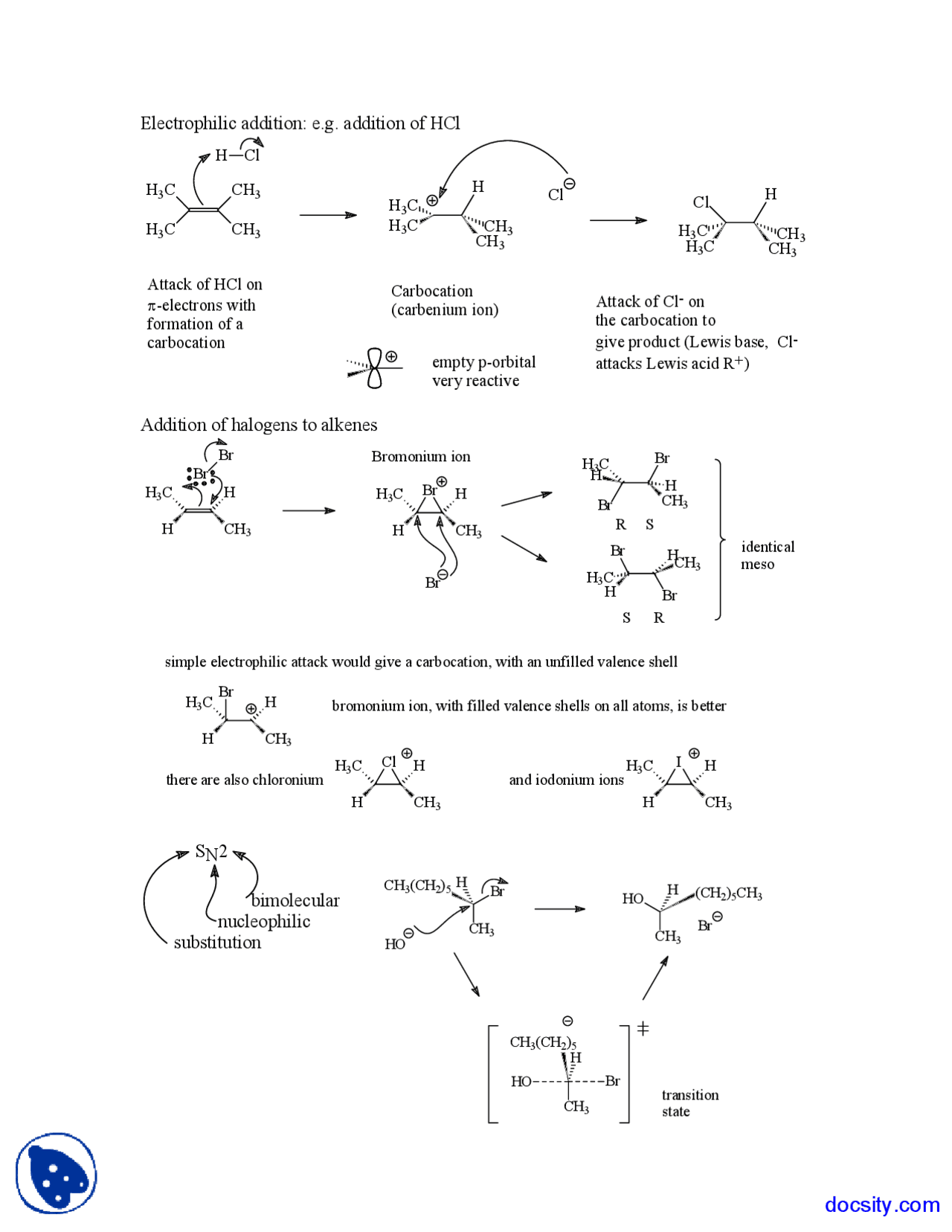 Electrophilic Addition Macro Molecules Lecture Handouts Docsity