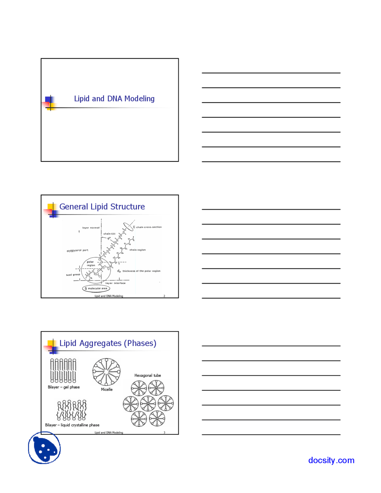 Lipid And Dna Modeling Chemical Modeling Lecture Slides Docsity