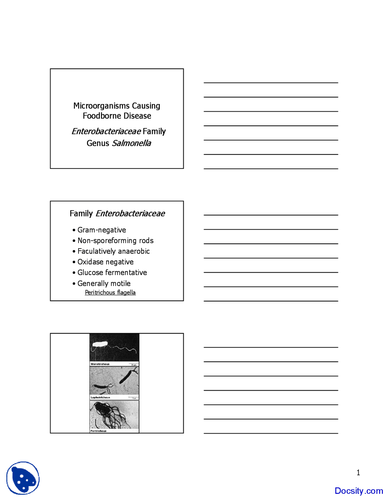 Genus Salmonella Biology Lecture Slides Docsity
