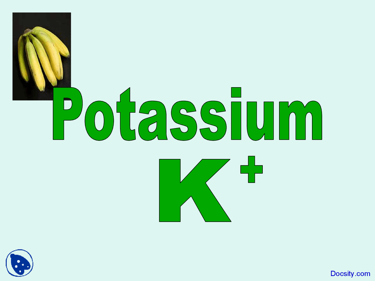 Potassium Nutrition Lecture Slides Docsity