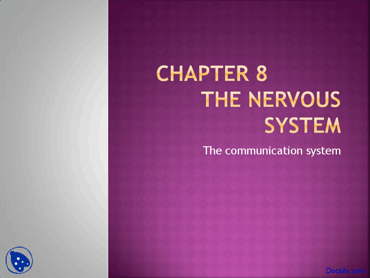 Nervous System Biology Lecture Slides Docsity