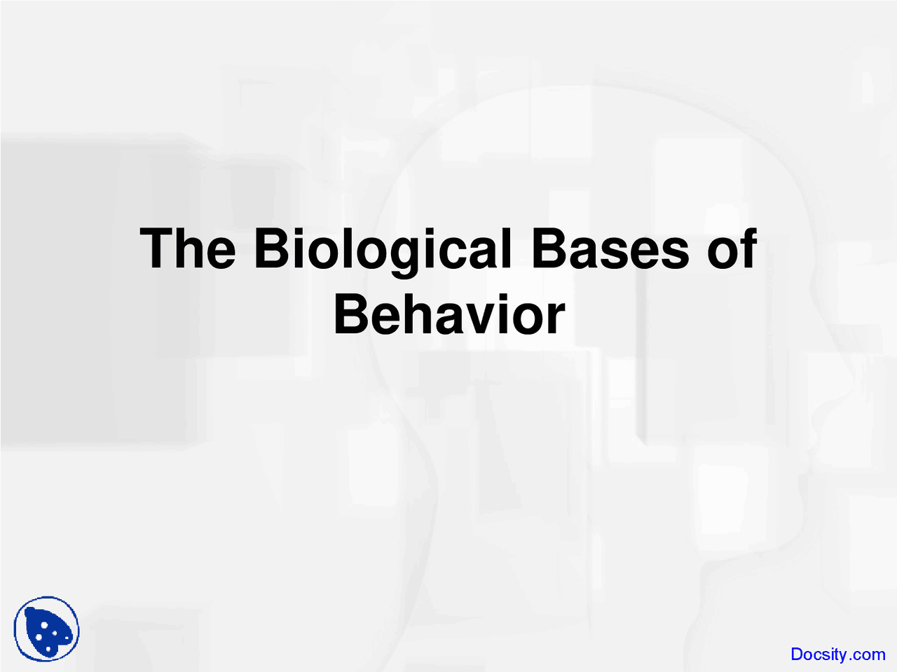 The Biological Bases of Behavior - General Psychology - Lecture Slides ...