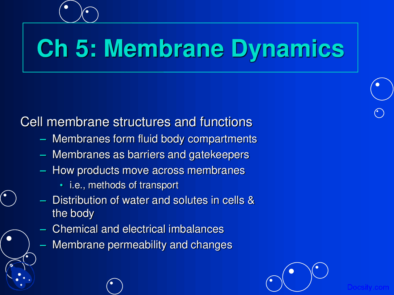 Membrane Dynamics Active Transport Human Physiology Lecture Slides