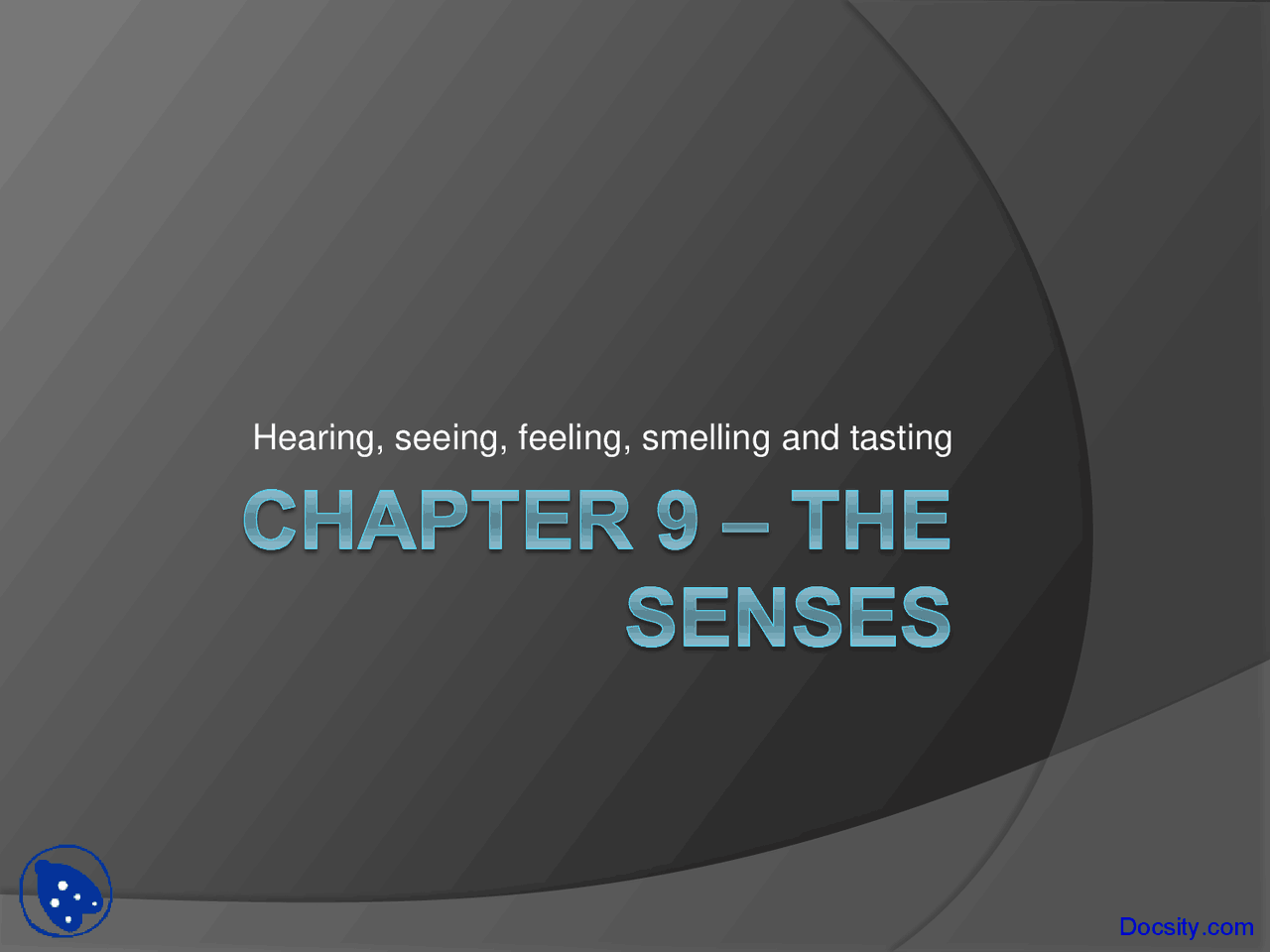The Senses Biology Lecture Slides Docsity