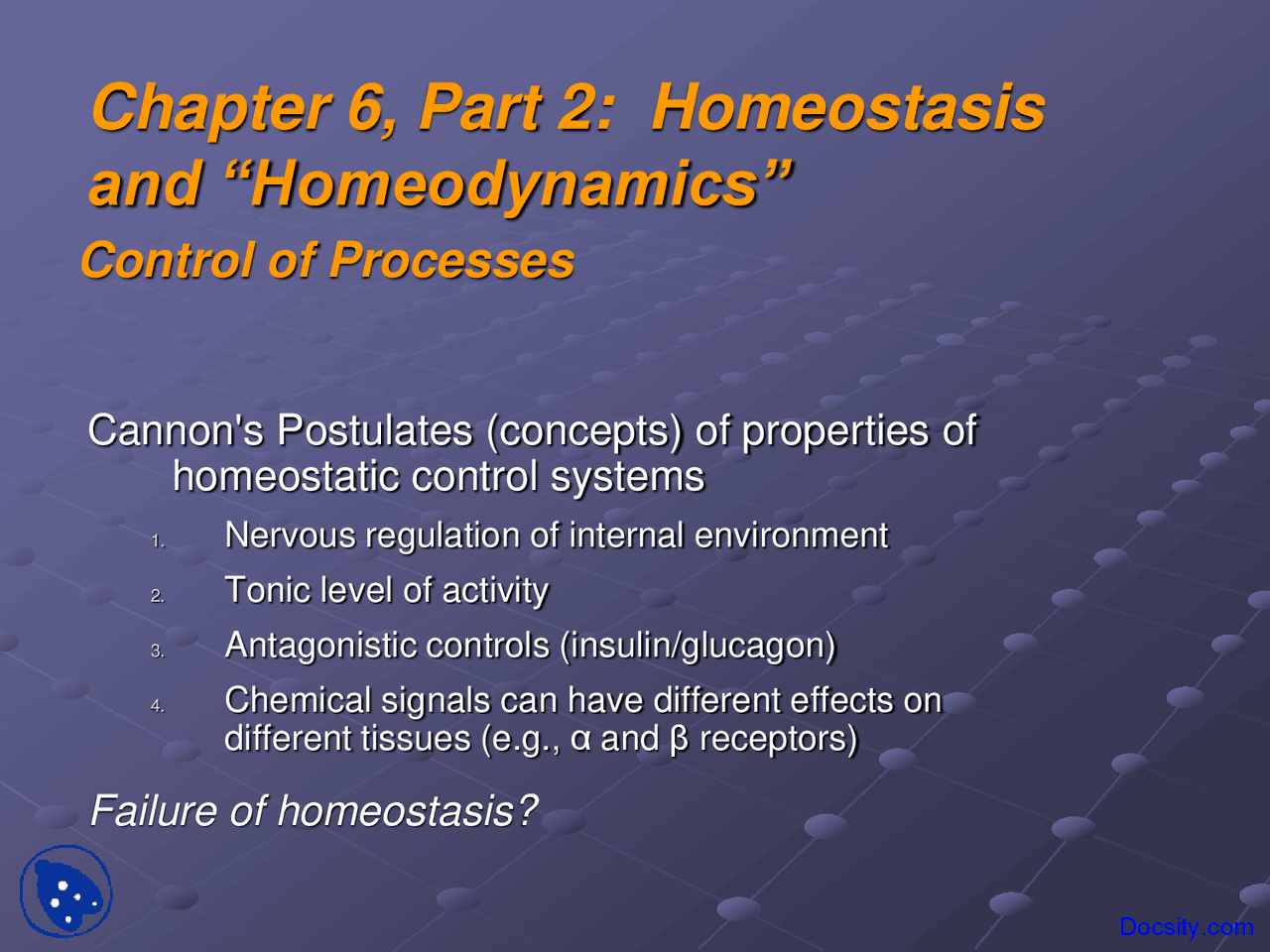 Homeostasis and Homeodynamics - Human Physiology - Lecture Slides ...
