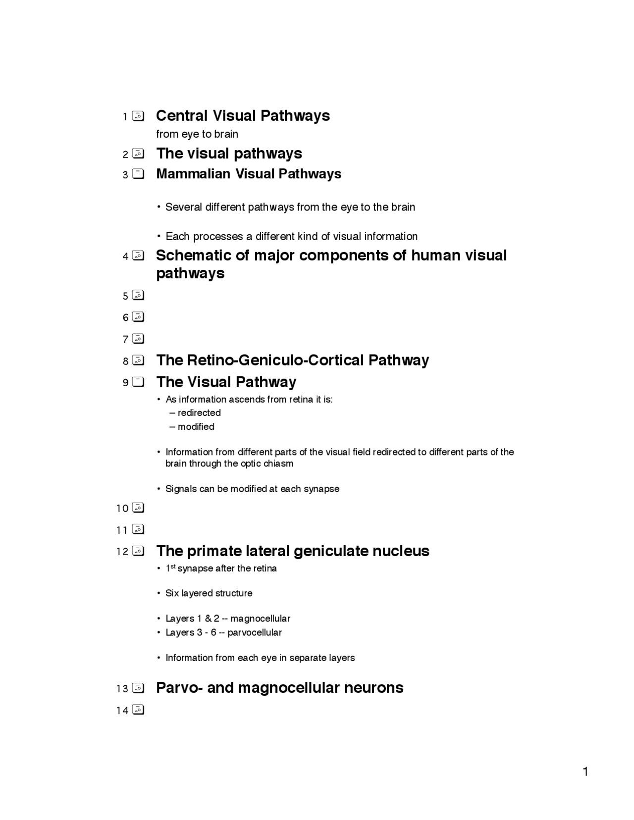 Central Visual Pathways Introduction To Sensation And Perception Lecture Notes Docsity