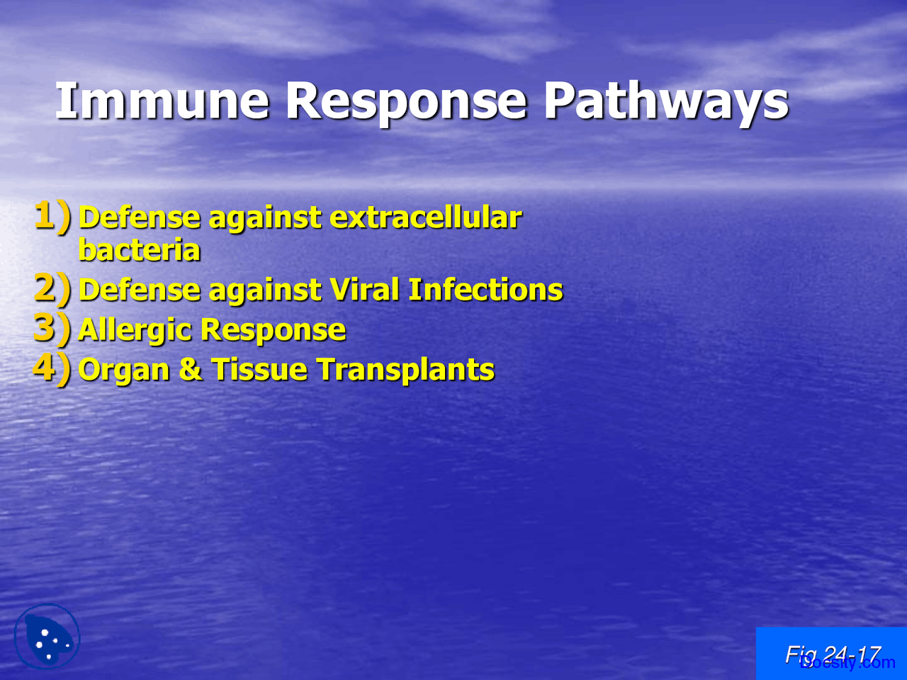 Immune Response Pathways - Human Physiology - Lecture Slides - Docsity
