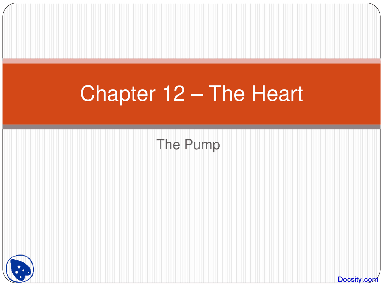 Heart Anatomy & Function: Description, Blood Flow, Cardiac Cycle ...