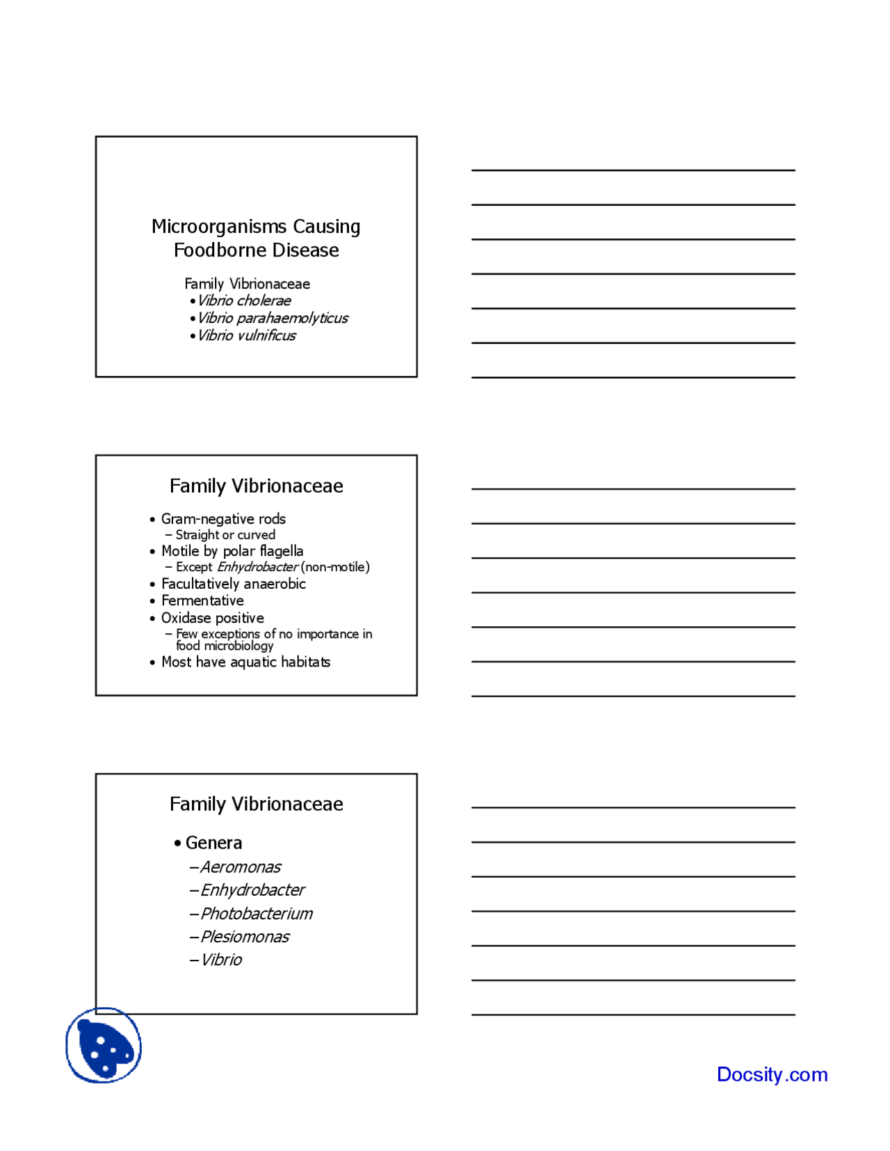 Family Vibrionaceae - Biology - Lecture Slides - Docsity