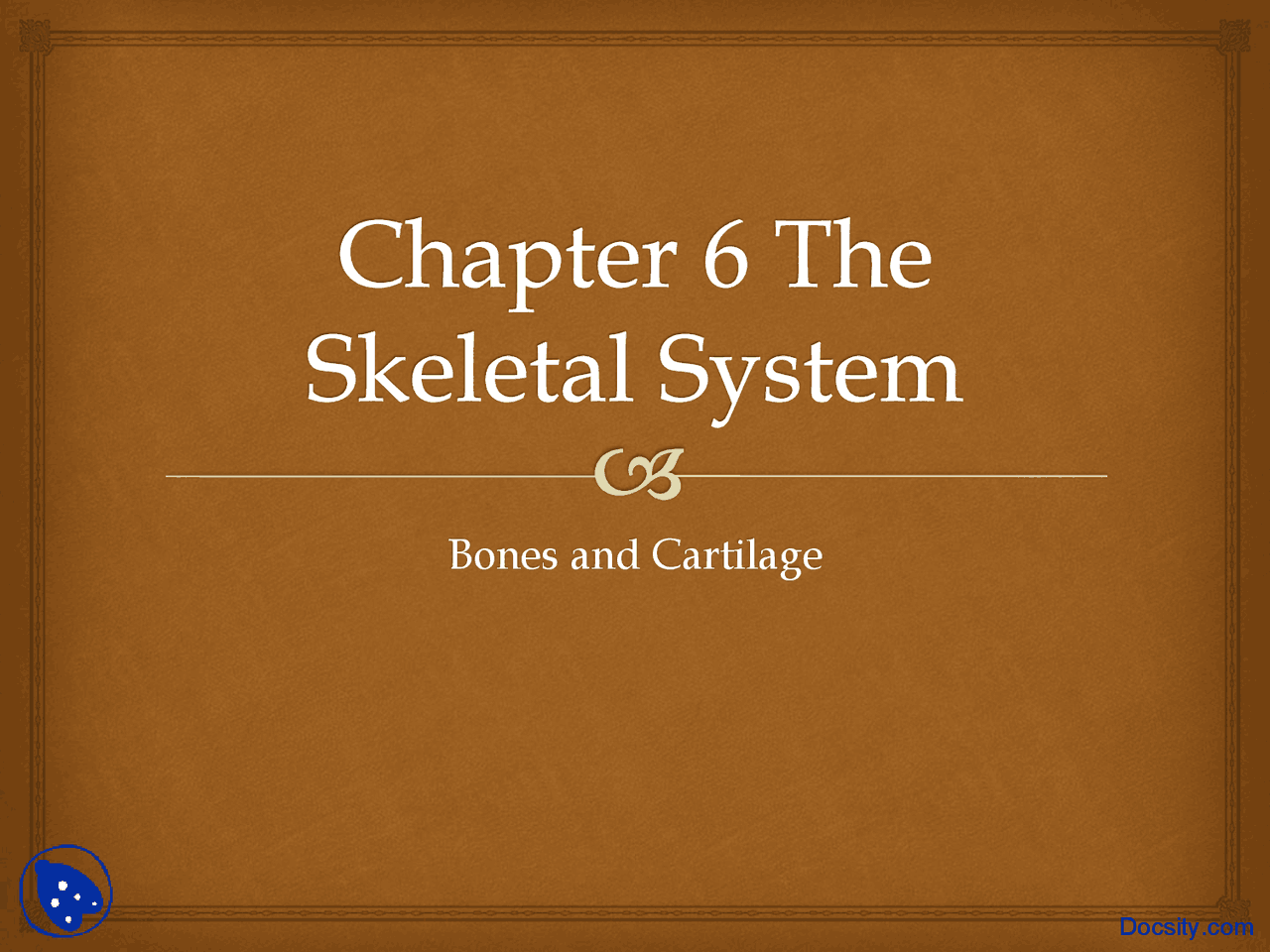 The Skeletal System Biology Lecture Slides Docsity