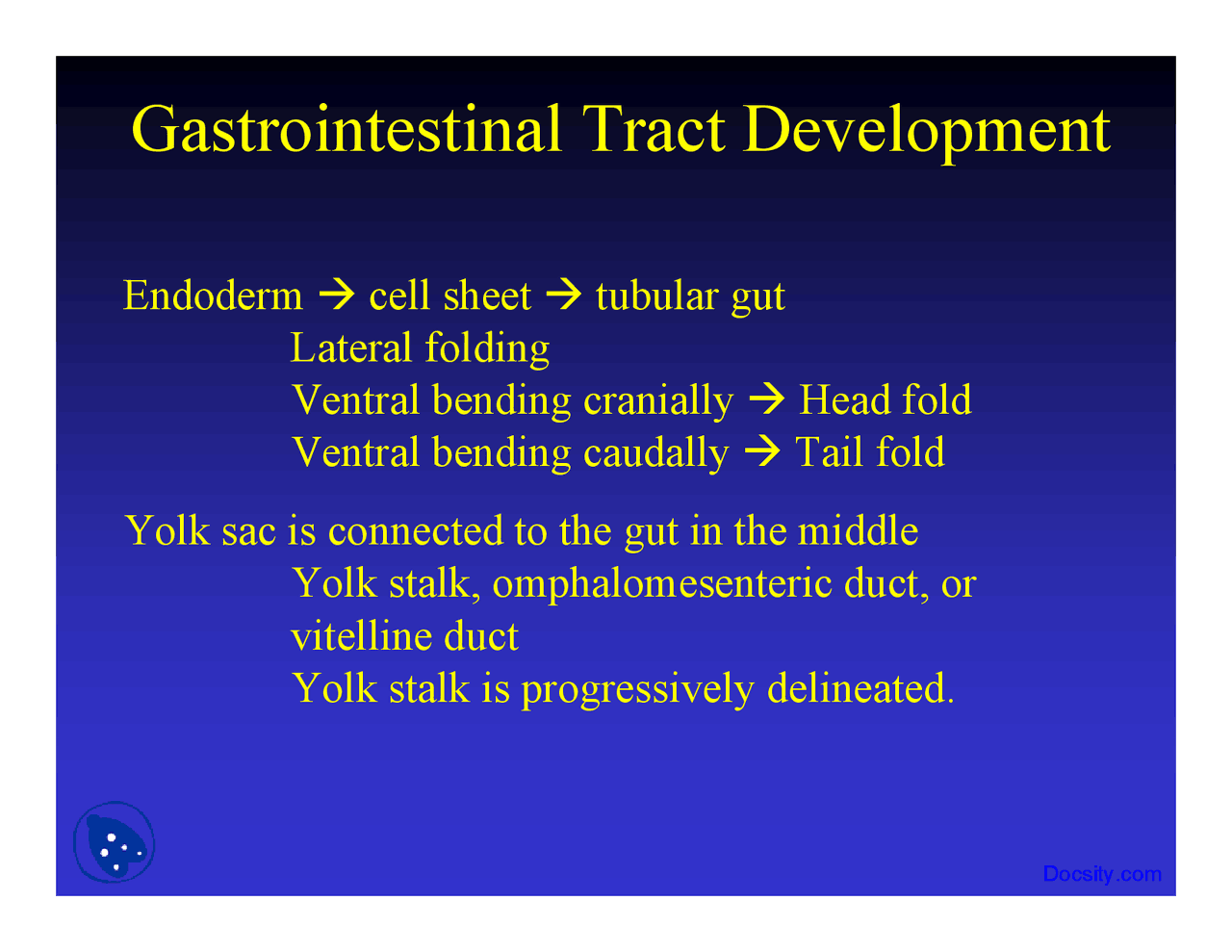 Gastrointestinal Tract Development - Introduction to Embryology ...