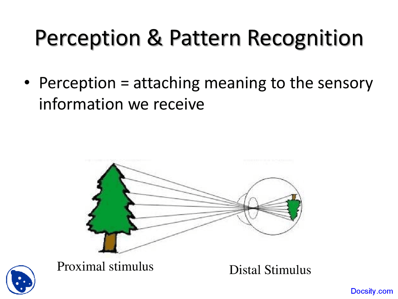 Perception And Pattern Recognition Human Cognitive Processes