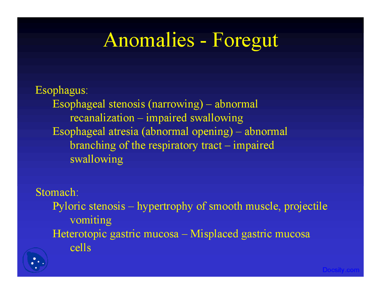 Anomalies, Gastrointestinal Tract Development - Docsity