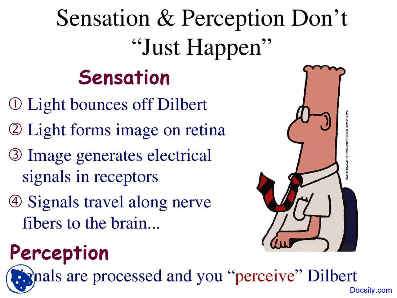 Sensation And Perception Introduction To Psychology Lecture Slides